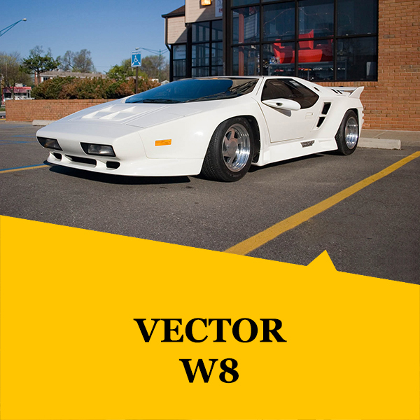 Vector W8 replica car or kit car or fiberglass body kit from car buck ...